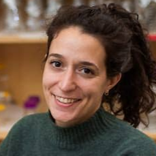 R·base-AI驱动的科技传播工具